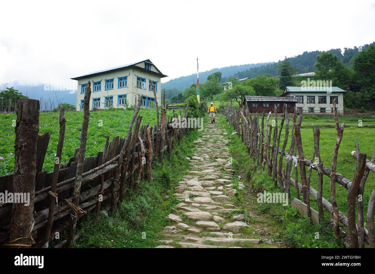 Trekking in Nepal Himalayas. Stone paved walkway throu Ringmu village ...