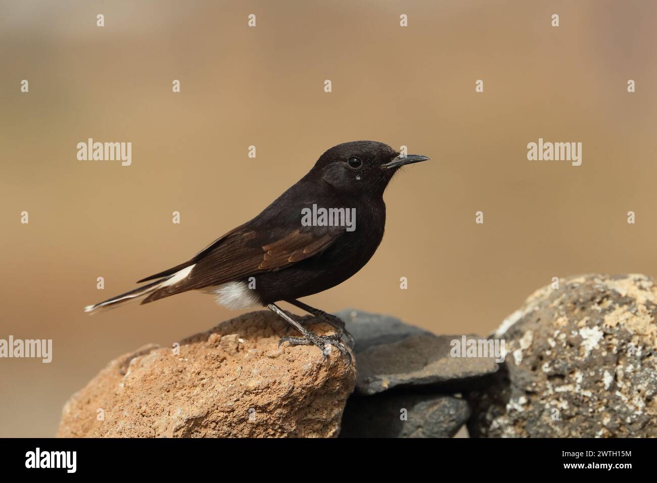 Bags packed, coach arriving in an hour, my last quick trip to the beach ...