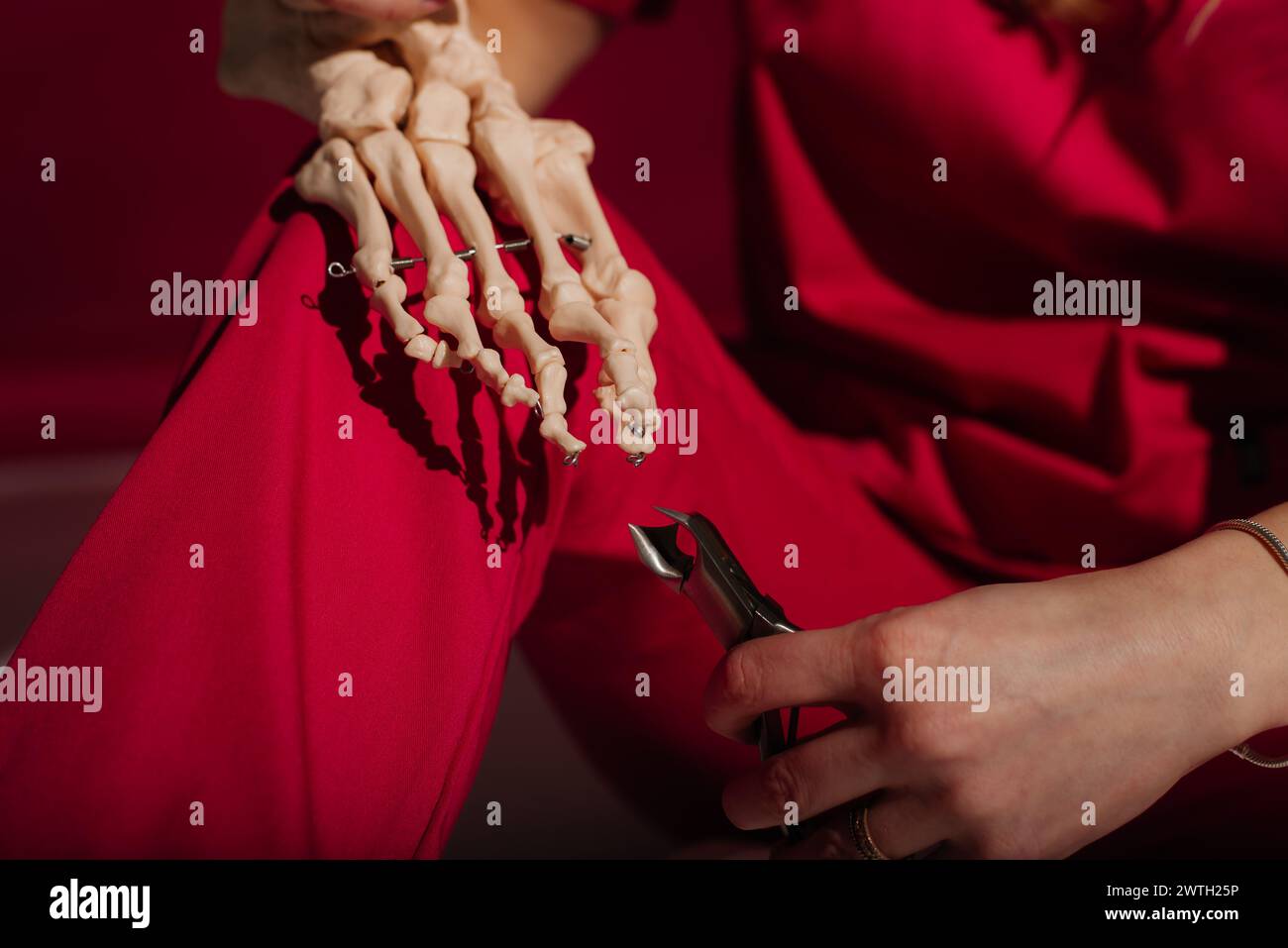 Skeleton model hand specialist showing hi-res stock photography and ...