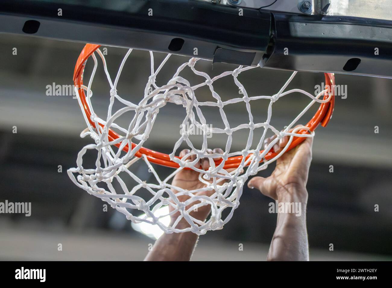 Symbol image of dunking in basketball: A player still has his hands on ...