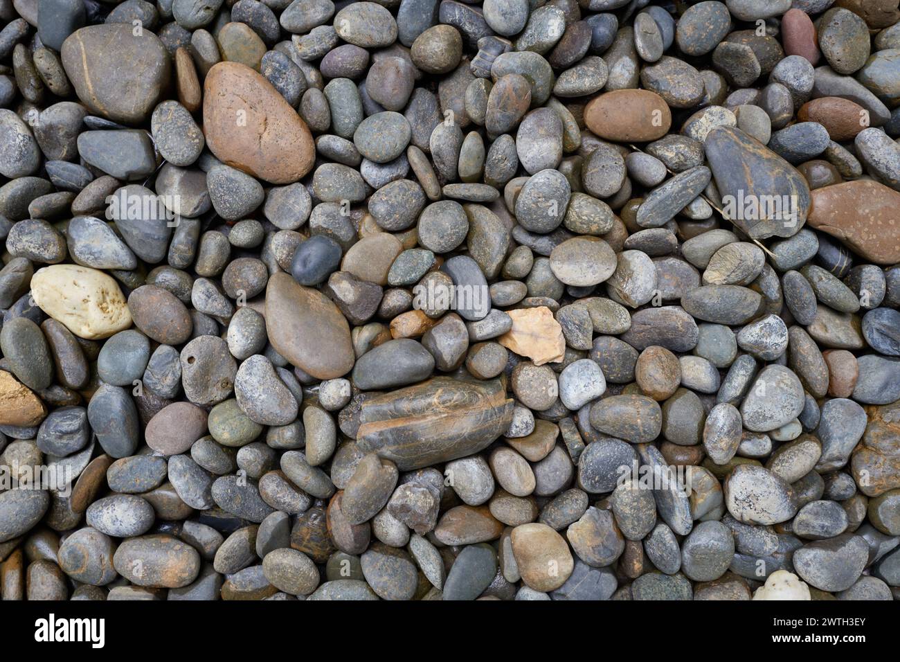 pebbles on the ground Stock Photo - Alamy