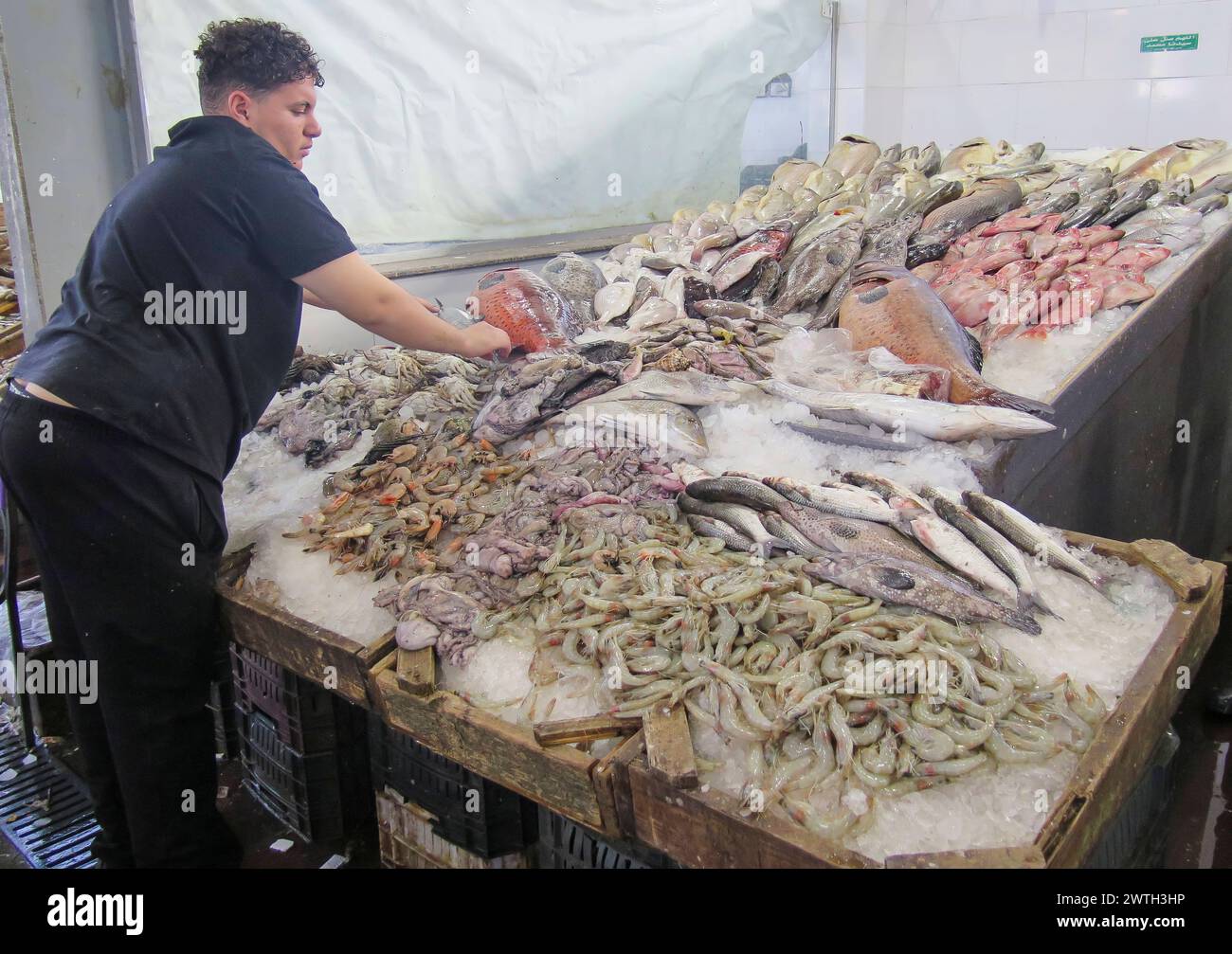 Fische im Fischmarkt von Hurghada, Ägypten *** Fish in the fish market ...