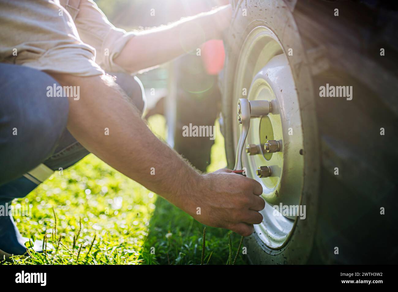 Farmer fixing wheel on tractor. Harvesting crops, collecting vegetables ...
