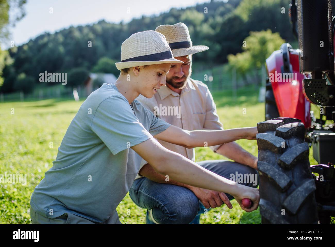 Farmer teaching son, how to fix wheel on tractor. Harvesting crops ...