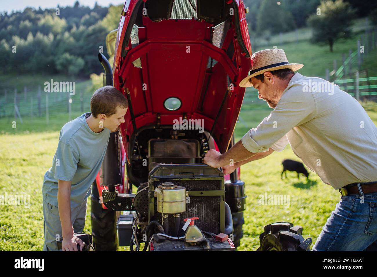 Farmer teaching son, how to fix tractor. Harvesting crops, collecting ...