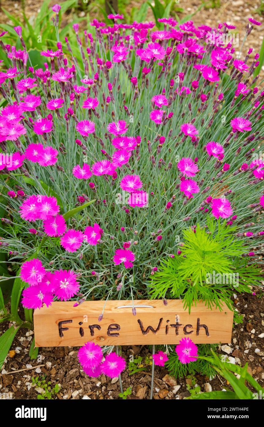 George Washington Birthplace National Monument in Westmoreland County ...