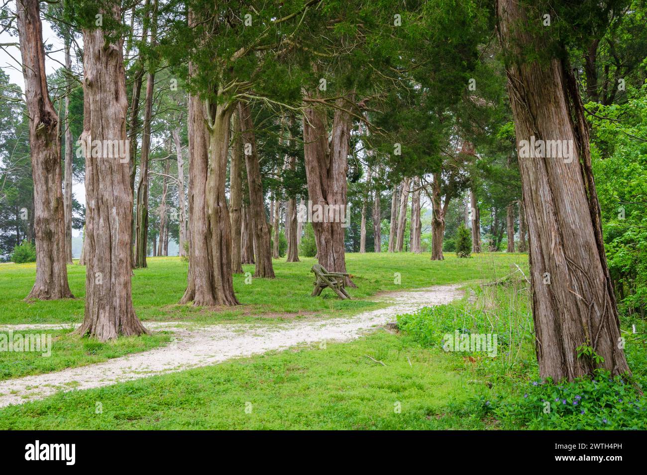 George Washington Birthplace National Monument in Westmoreland County ...
