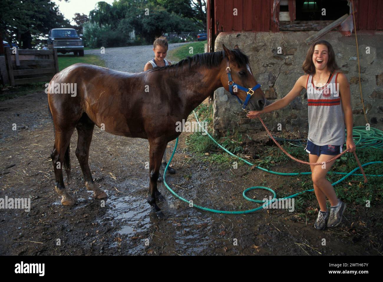 Games of animals hi-res stock photography and images - Alamy