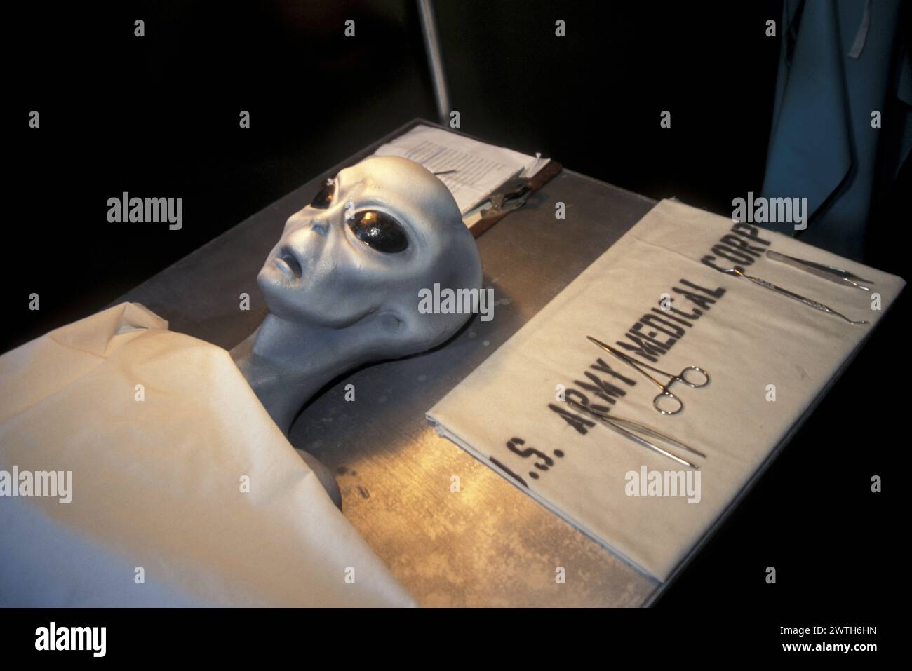 Disection hi-res stock photography and images - Alamy