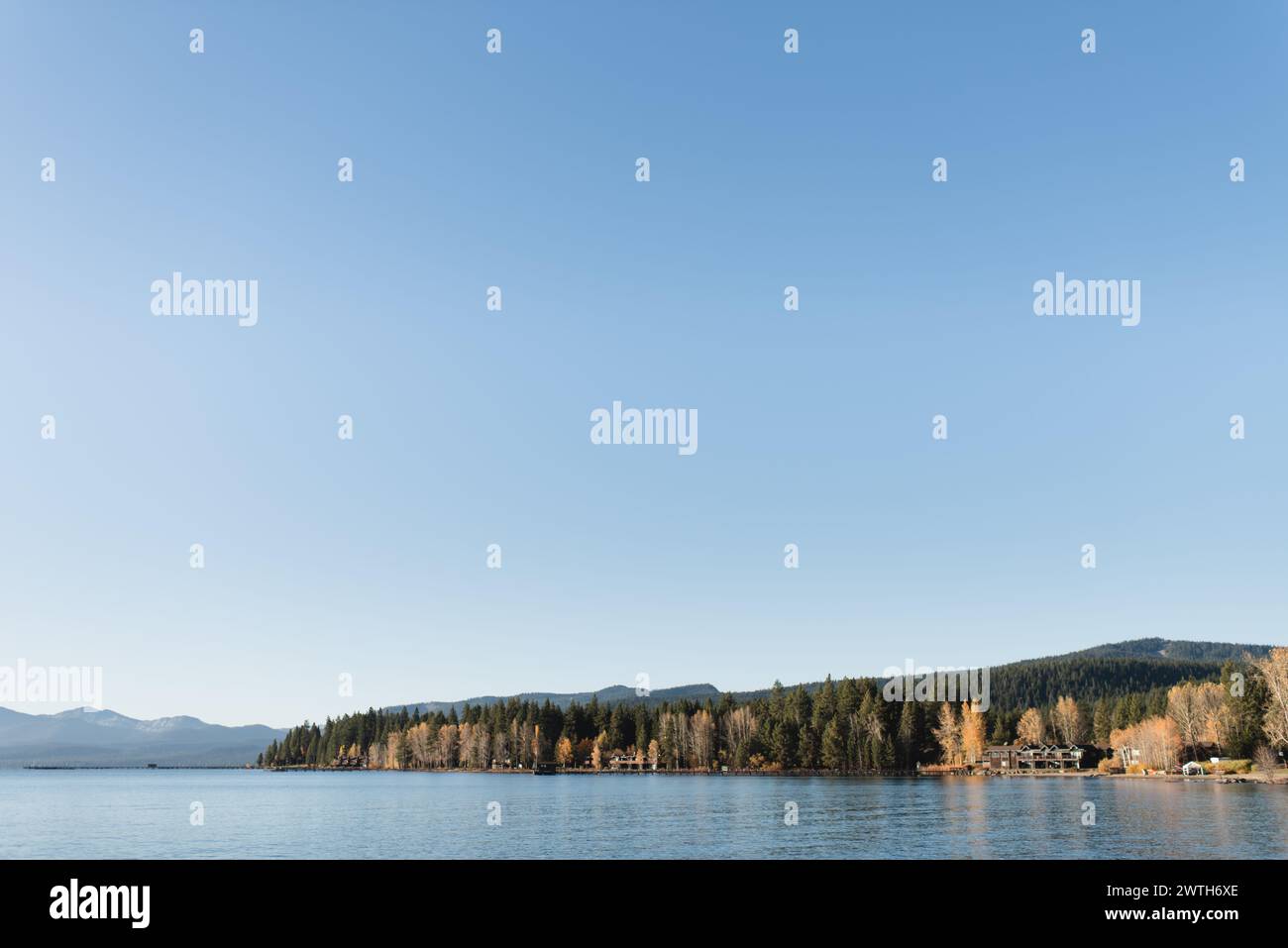 Lake Tahoe shoreline with trees & cabins on sunny day with copy space ...
