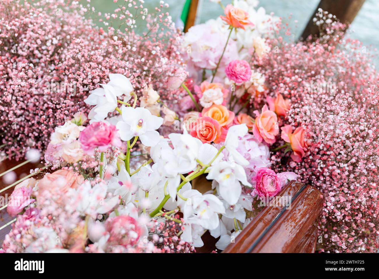 Blooms in the water hi-res stock photography and images - Alamy