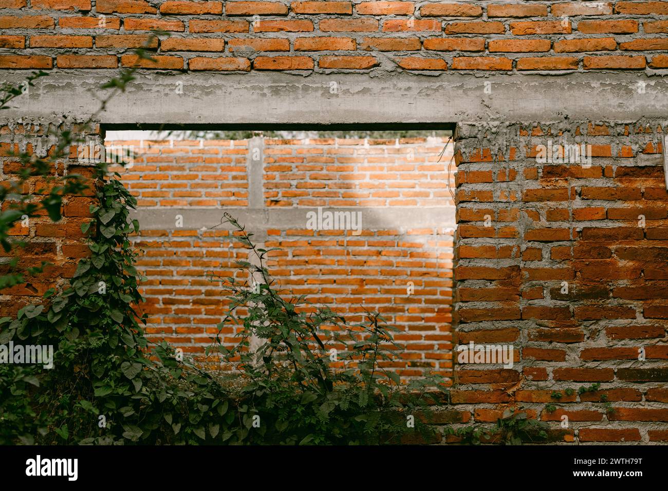 Rustic brick window wall with greenery Stock Photo - Alamy