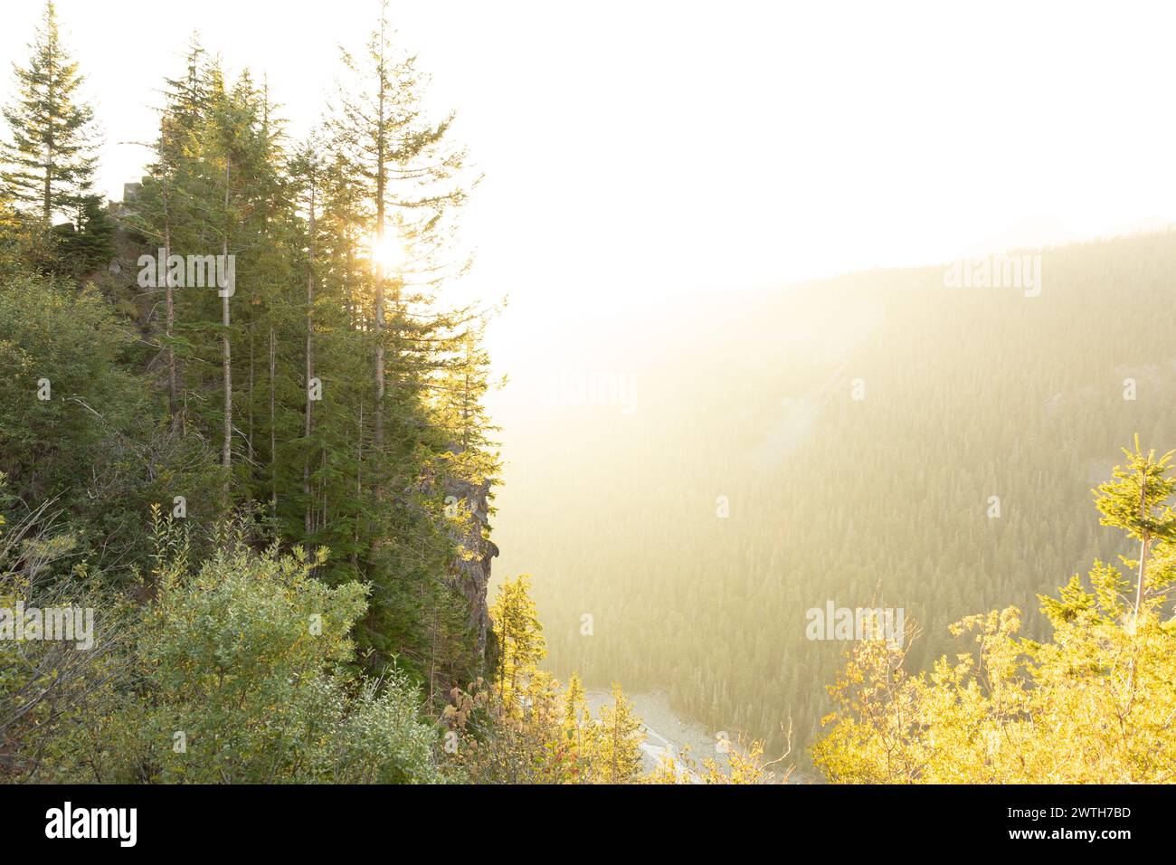 stunning reflection lake mt rainier mountain backdrop pacific nothwest ...