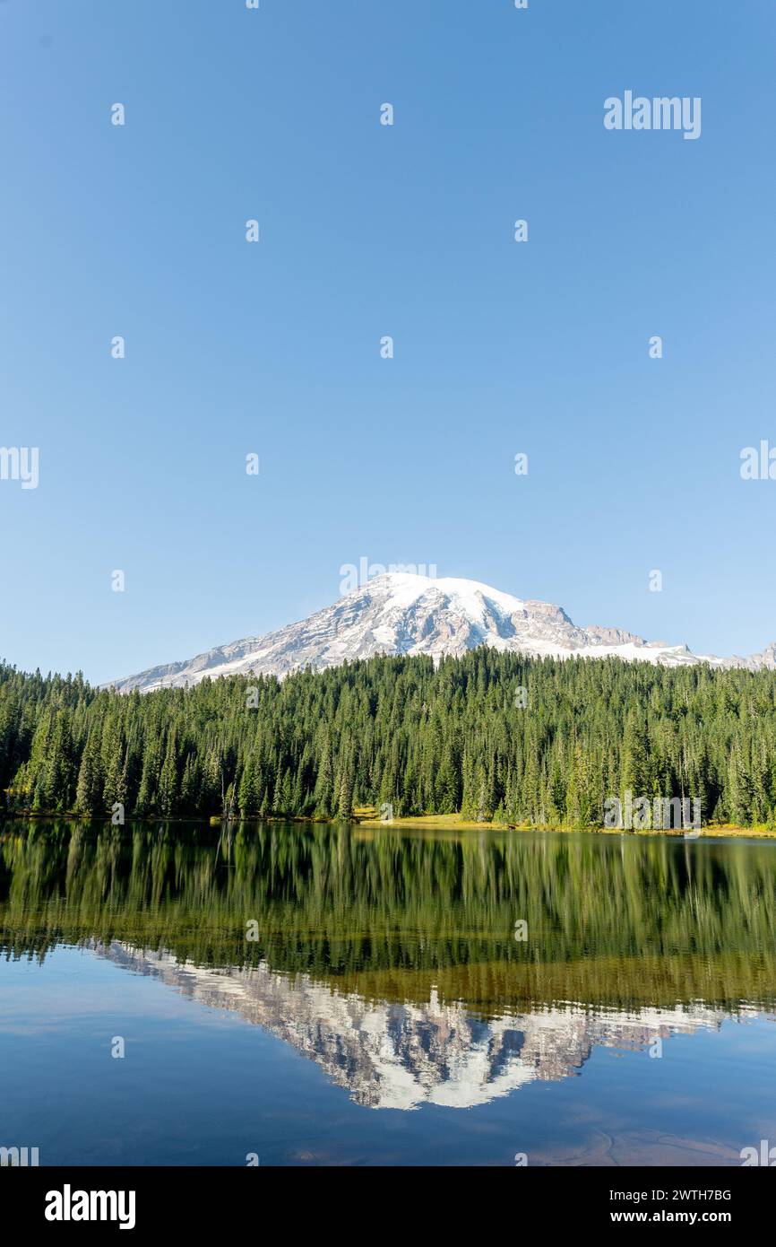 stunning reflection lake mt rainier mountain backdrop pacific nothwest ...