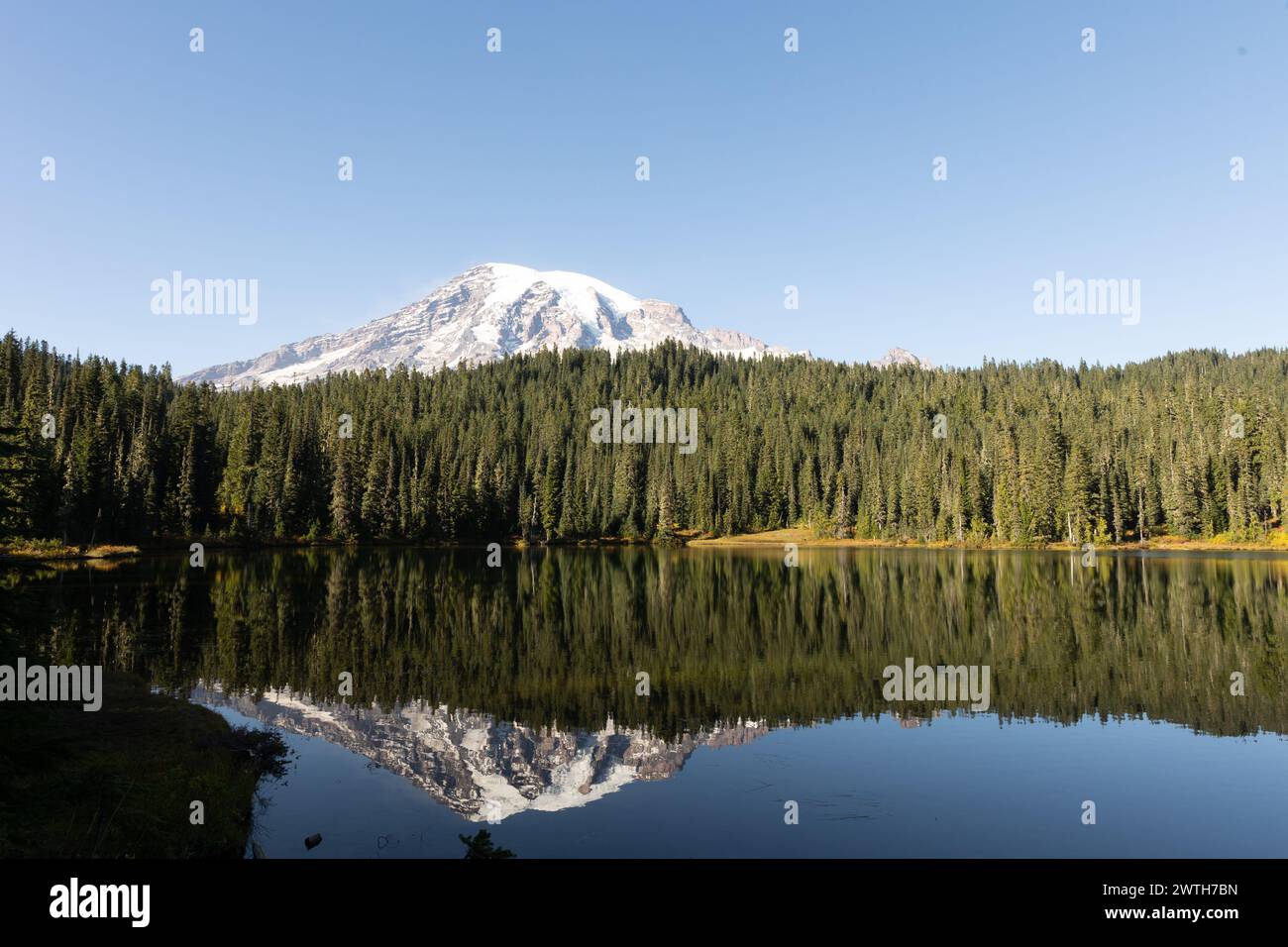stunning reflection lake mt rainier mountain backdrop pacific nothwest ...