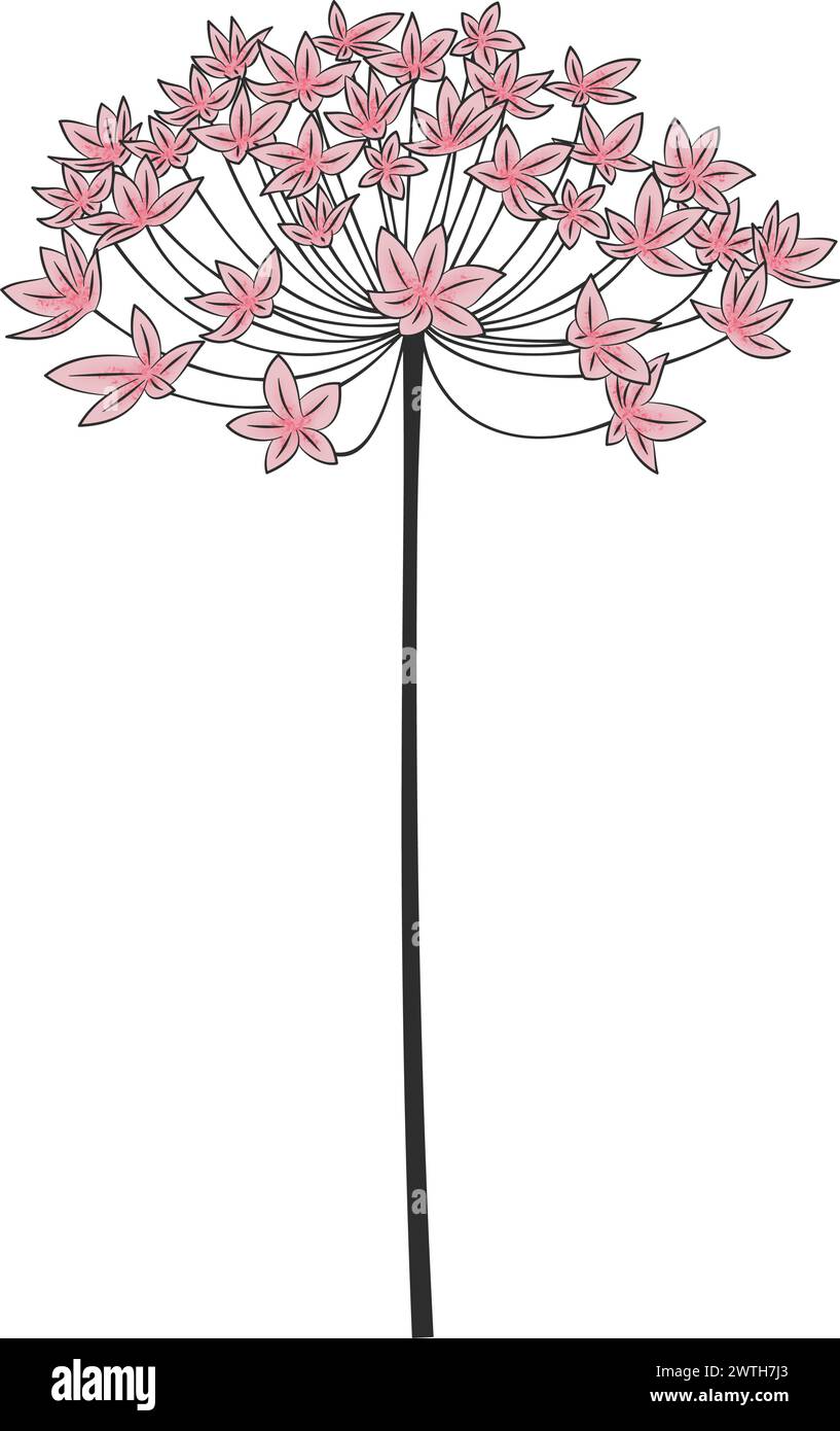 Dandelion line Stock Vector Images - Alamy
