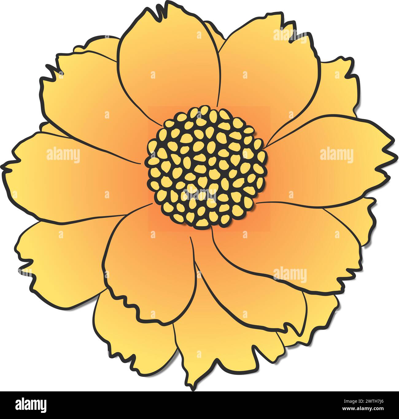 colored flower line art Stock Vector Image & Art - Alamy