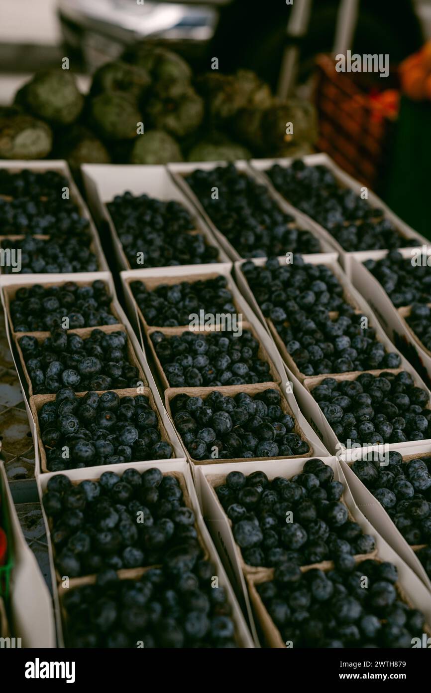 Row of blueberries for sale at farmer's market Stock Photo - Alamy