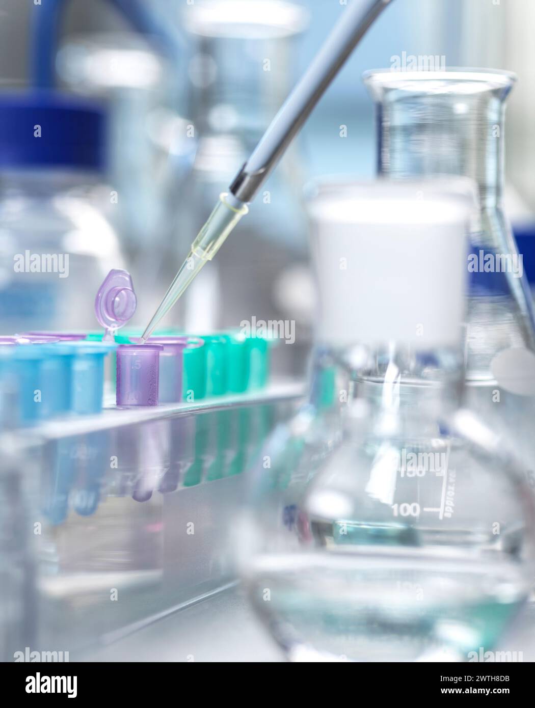 DNA Research, Scientist extracting a human sample for analysis Stock ... DNA Research, Scientist extracting a human sample for analysis Stock ...