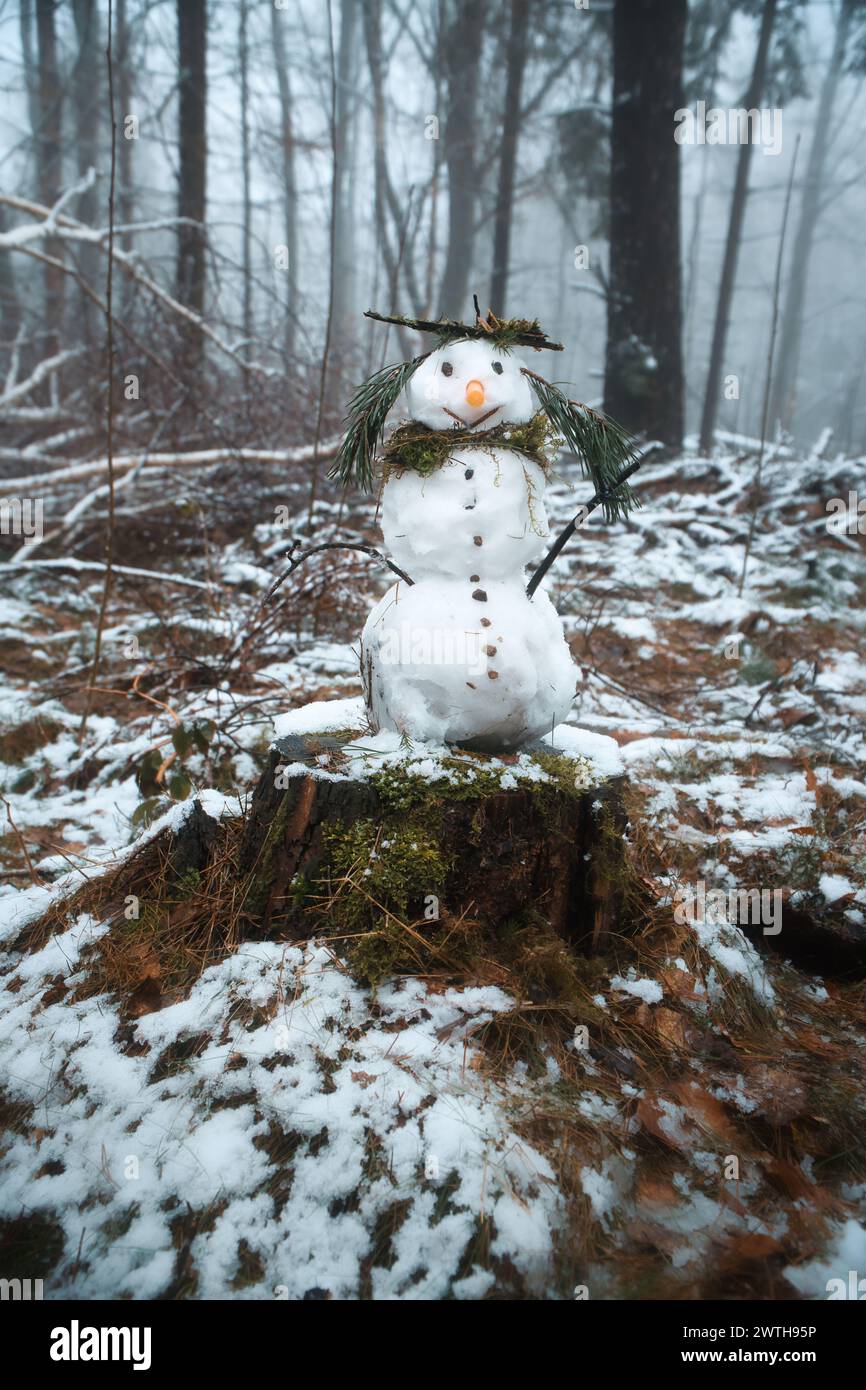 Snowman on a tree stump with a carrot for a nose, buttons, a branch for ...