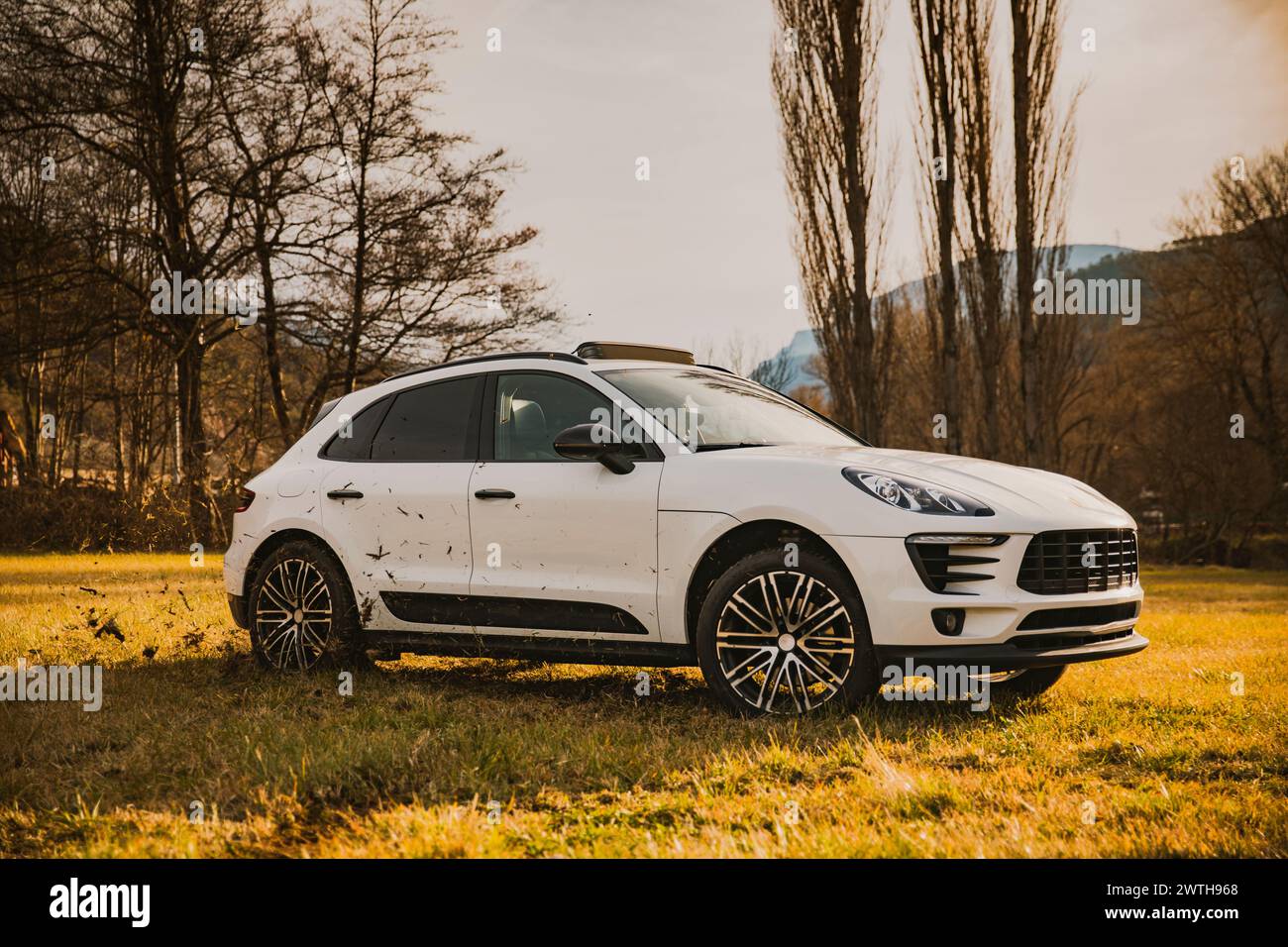 White boldly hi-res stock photography and images - Alamy