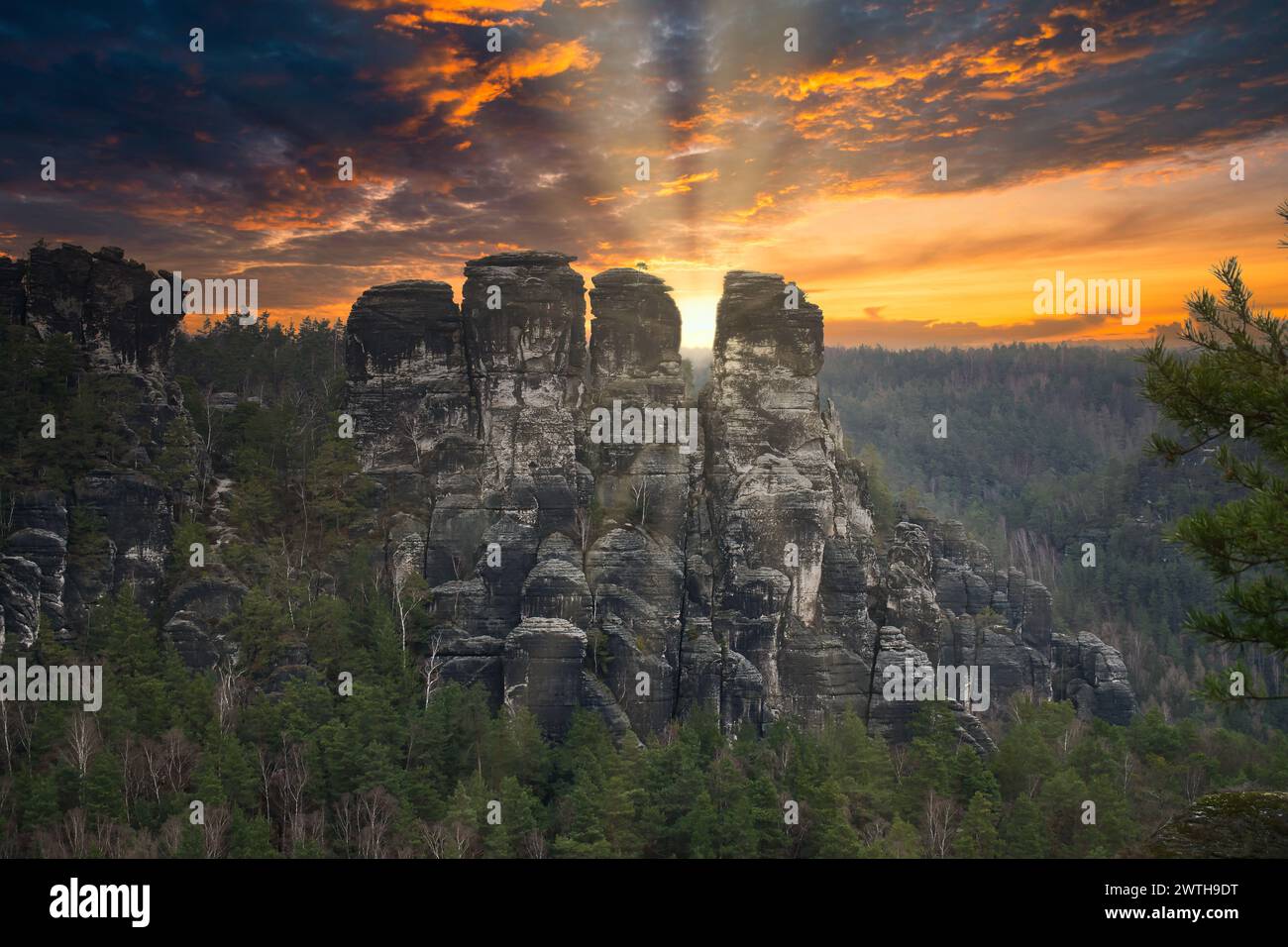 Rugged rocks at Basteibridge at sunset. Wide view over trees and ...