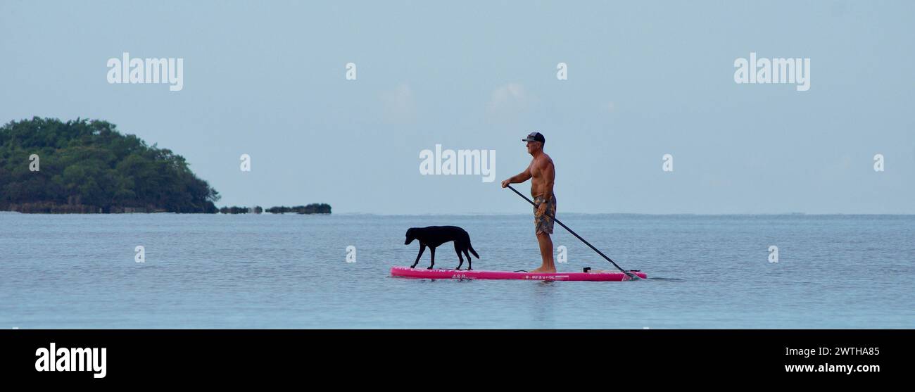 A Senior and his black dog enjoy an early morning paddleboard across ...