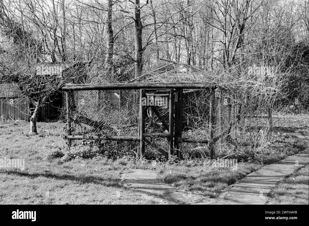 Derelict chicken run, Hattingley, Medstead, Alton, Hampshire, England ...
