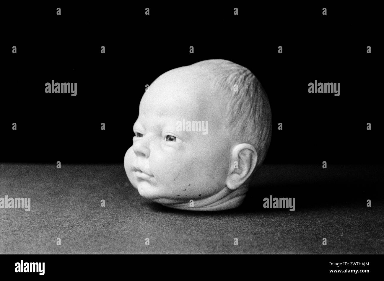 Dolls Head photographed in the studio Stock Photo - Alamy