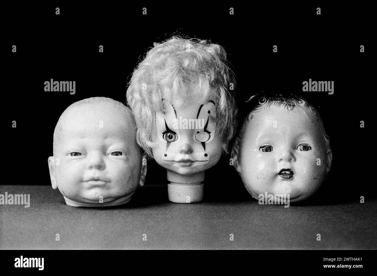 Dolls Heads photographed in the studio Stock Photo - Alamy