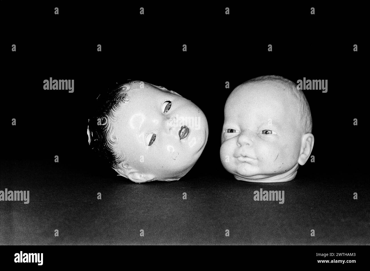 Dolls Heads photographed in the studio Stock Photo - Alamy