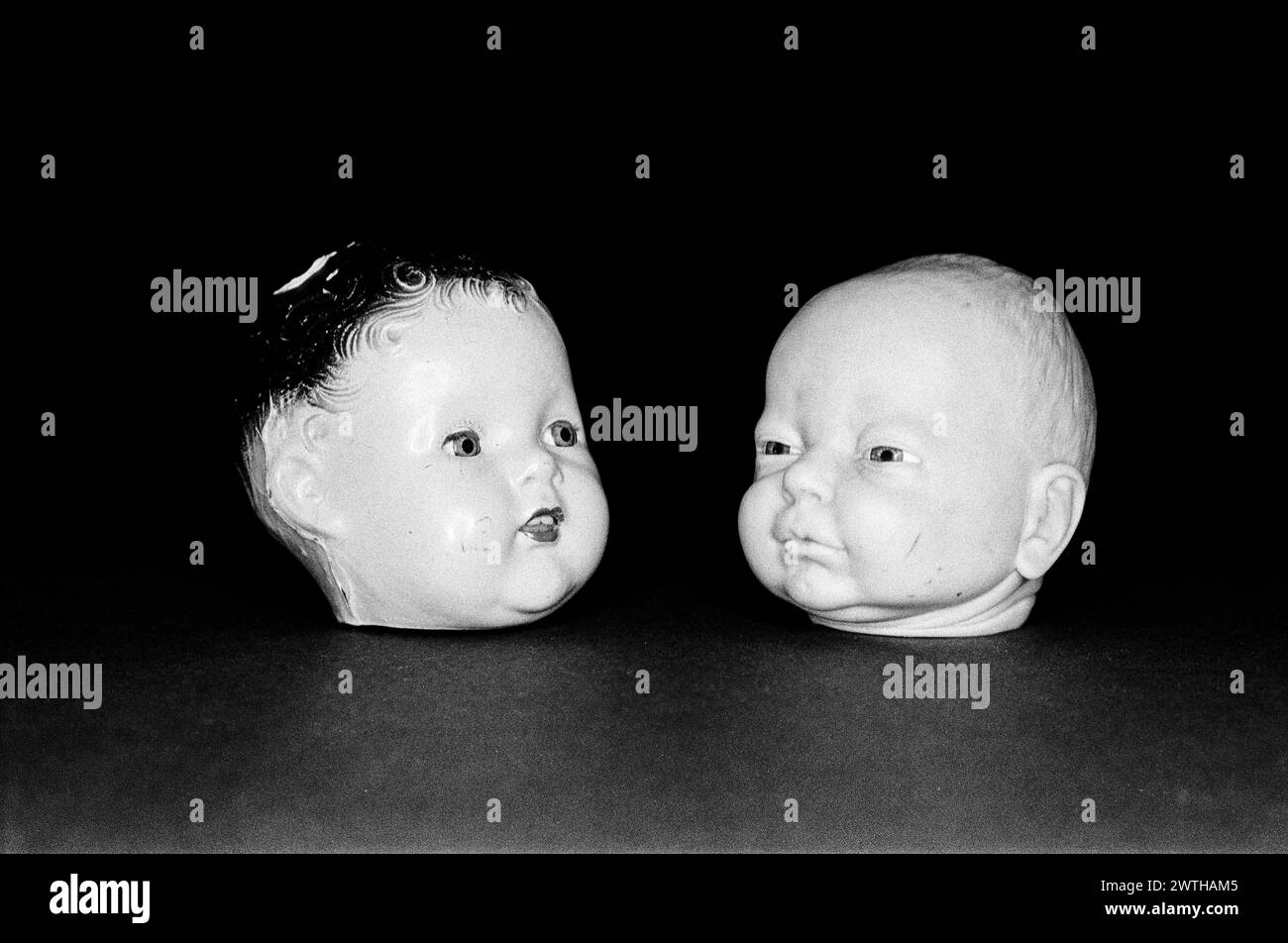 Dolls Heads photographed in the studio Stock Photo - Alamy