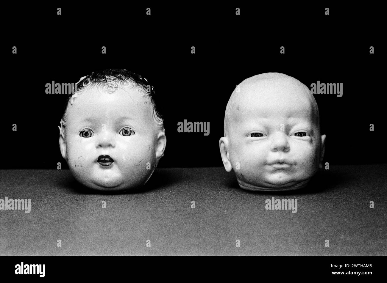 Dolls Heads photographed in the studio Stock Photo - Alamy