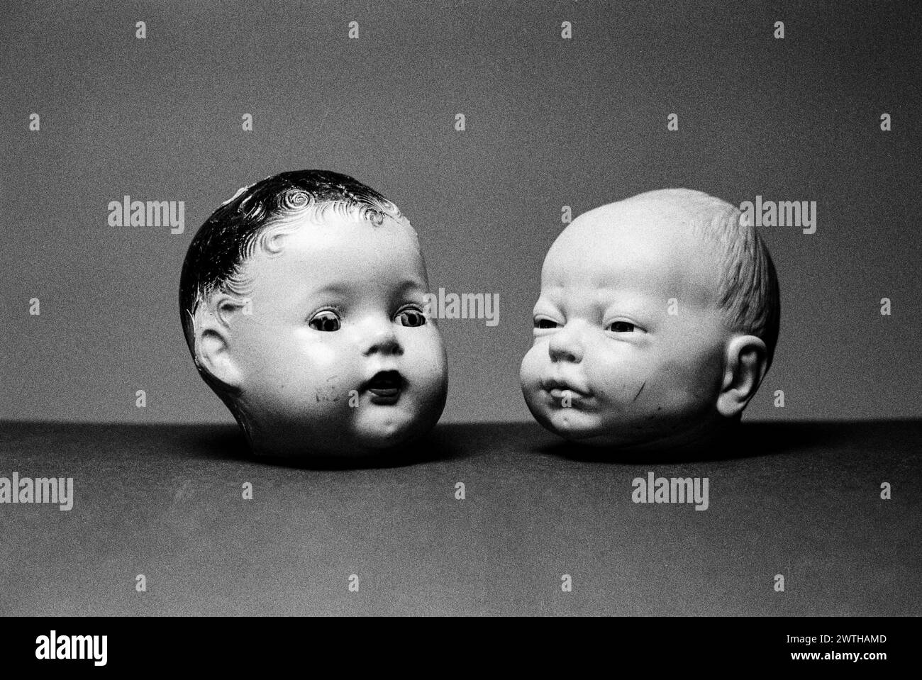 Dolls Heads photographed in the studio Stock Photo - Alamy