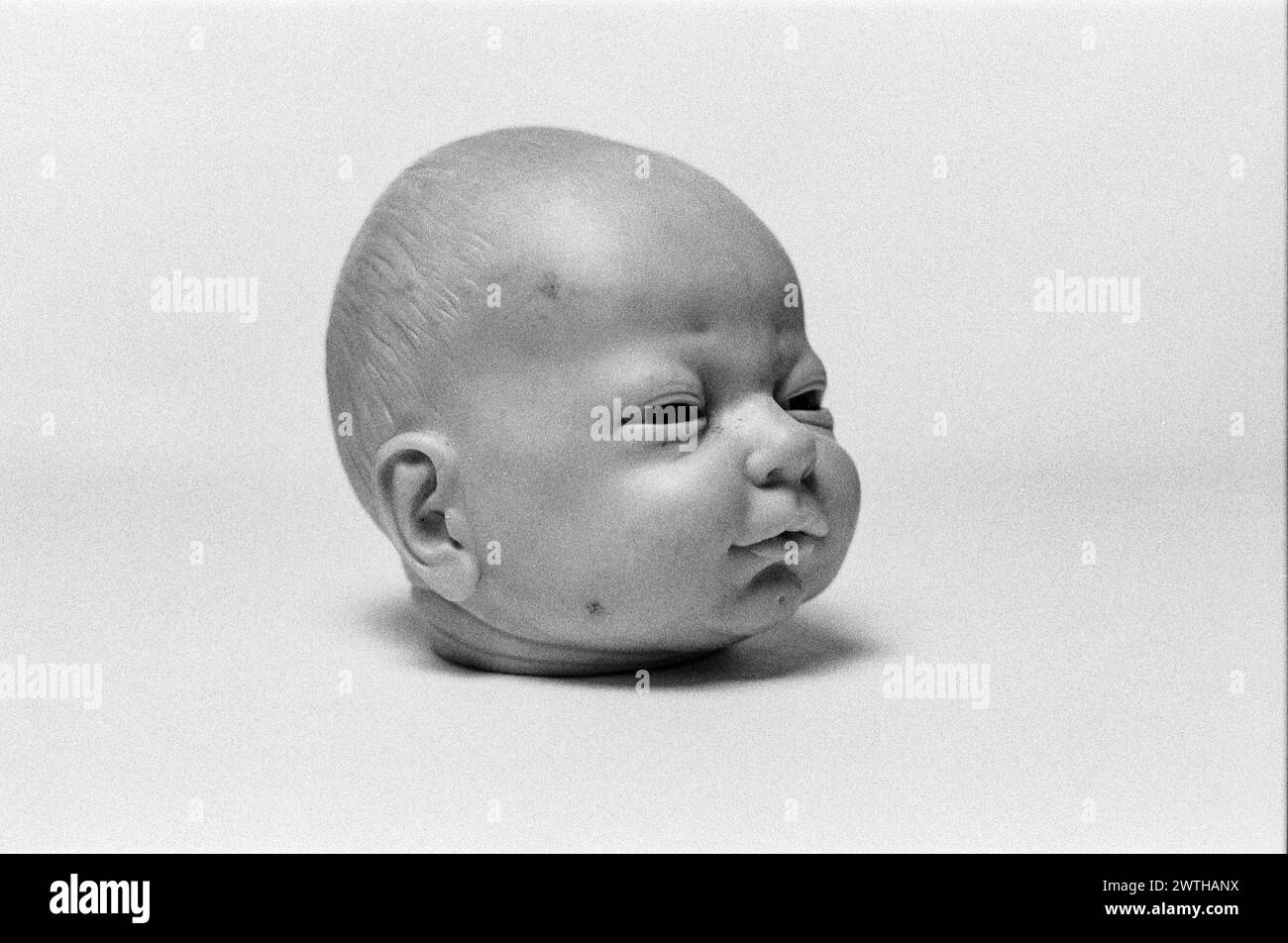 Dolls Head photographed in the studio Stock Photo - Alamy