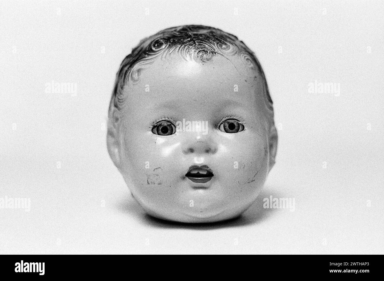 Dolls Head photographed in the studio Stock Photo - Alamy
