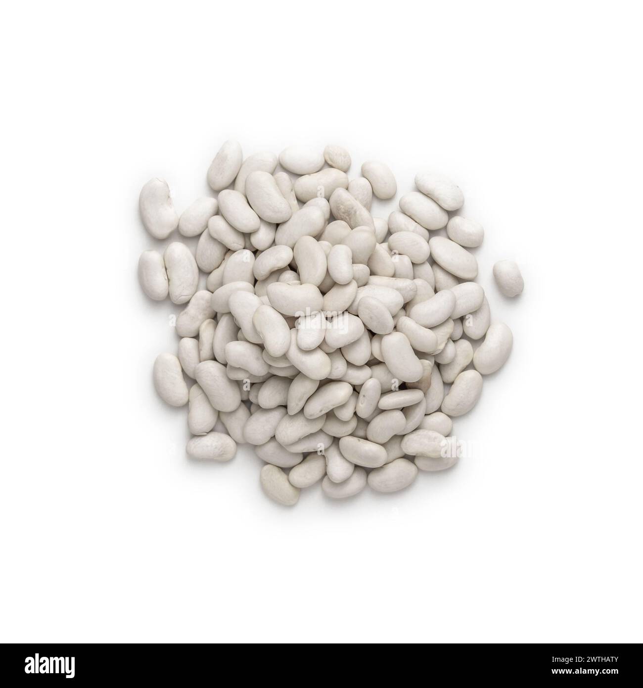 Circle heap of white beans on white. Pile kidney bean seed. Top view ...