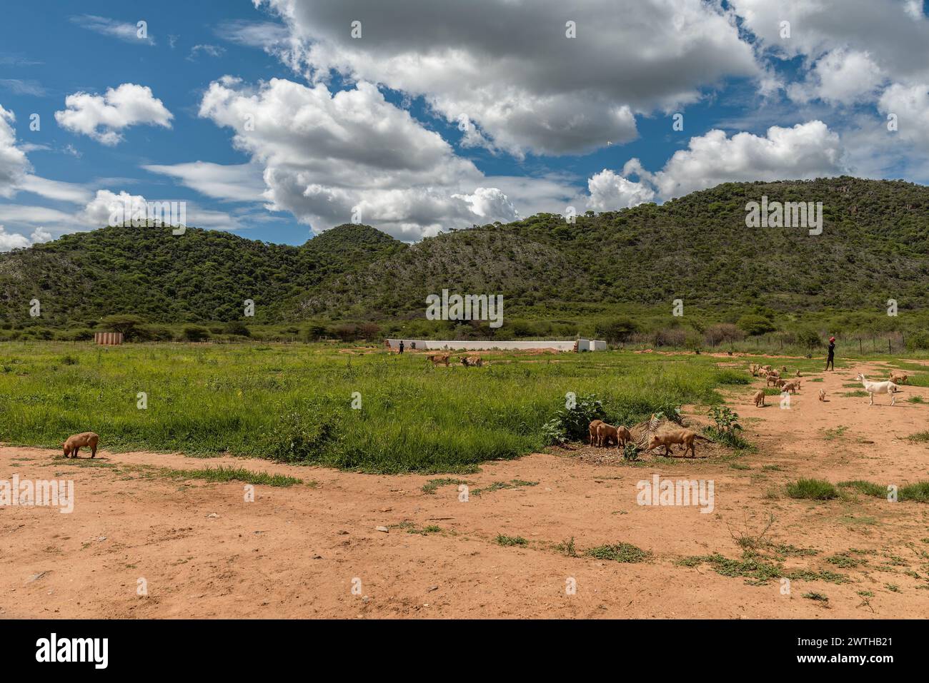 Sus triangle hi-res stock photography and images - Alamy