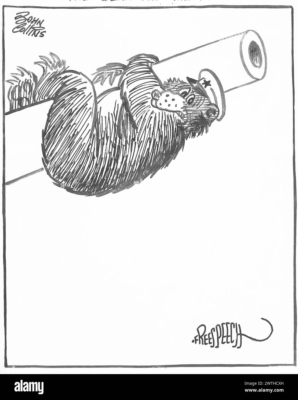 Bear mouse Black and White Stock Photos & Images - Alamy