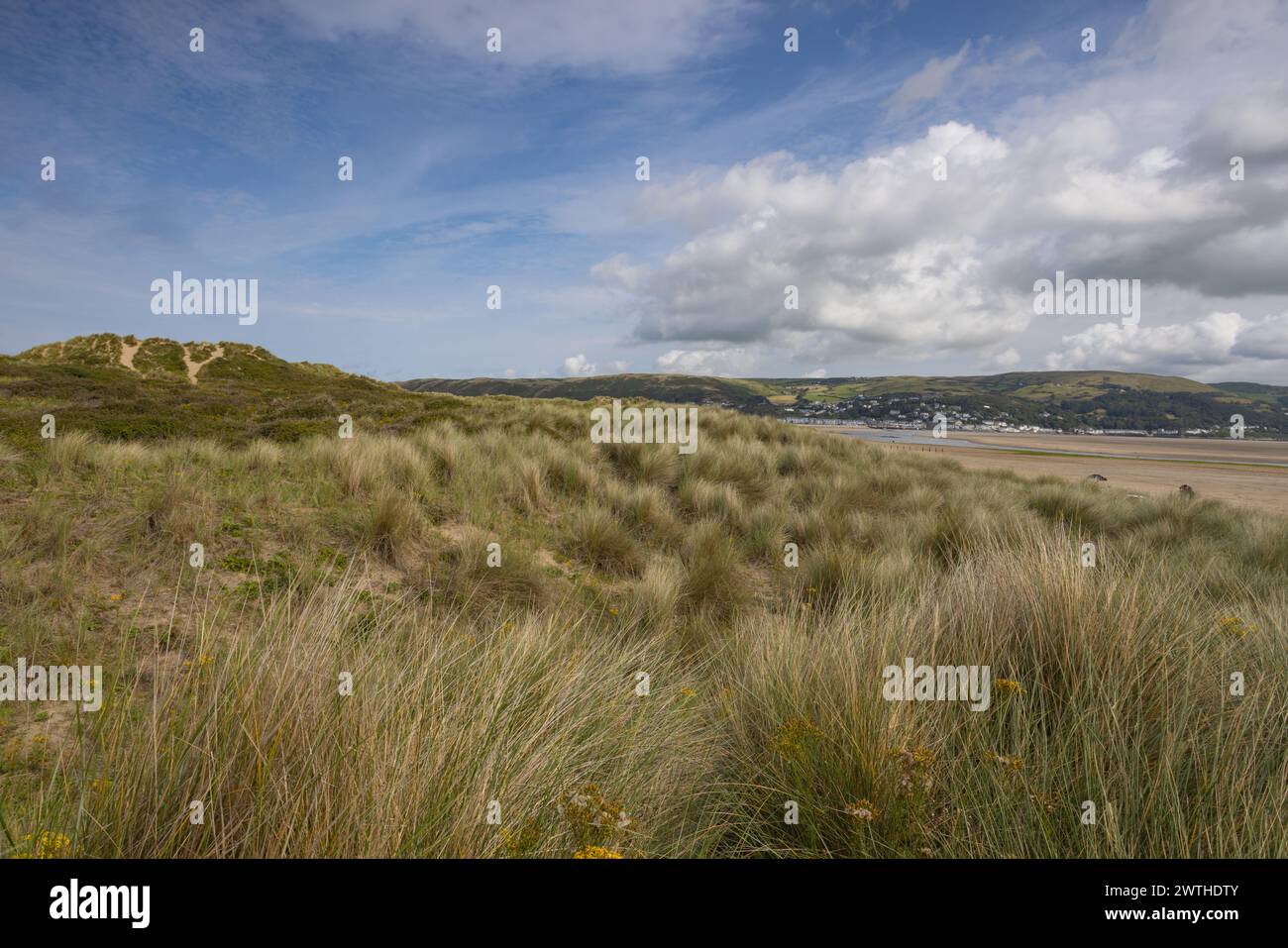 Ynyslas Sand Dunes are part of the Dyfi National Nature Reserve Stock ...