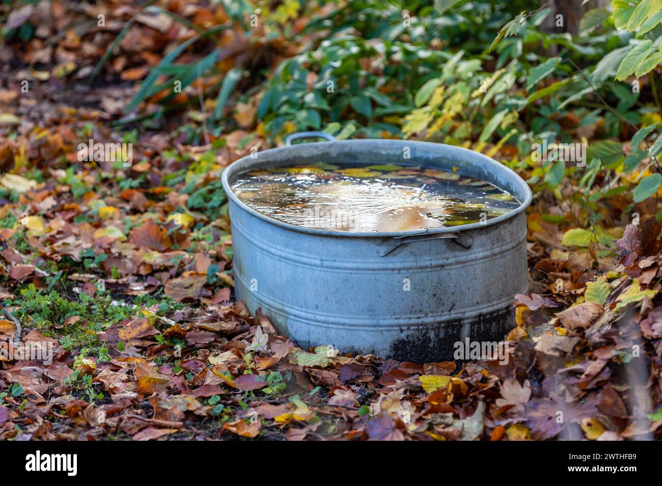 Wasser garten hi-res stock photography and images - Alamy