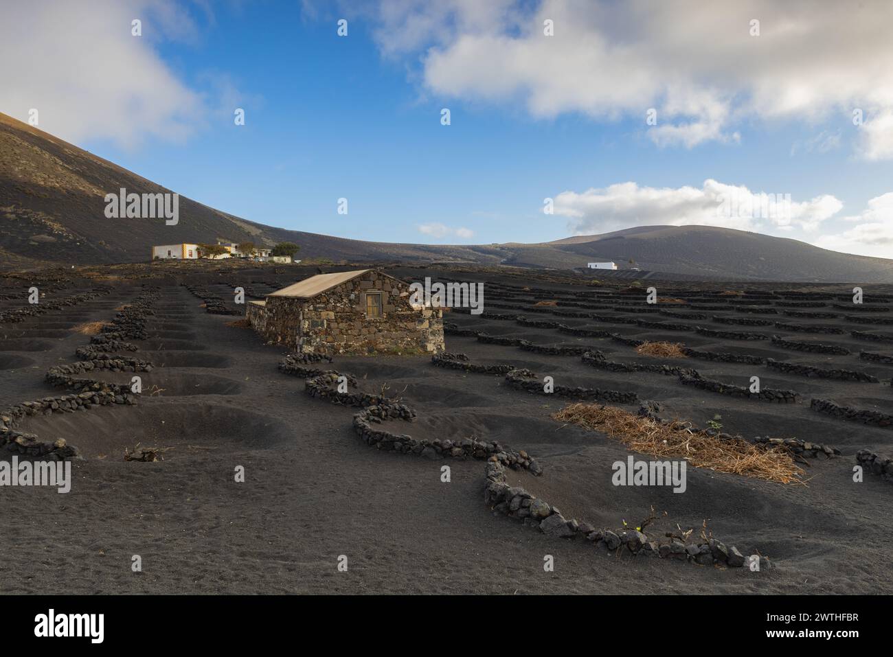 The valle de la geria hi-res stock photography and images - Alamy
