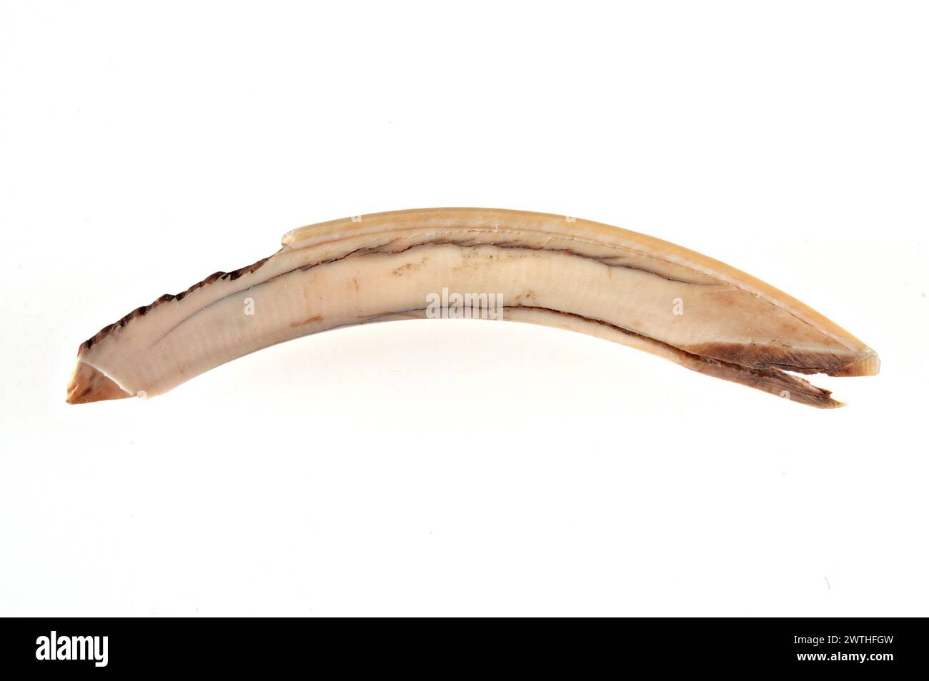 Material sample Stock Photo - Alamy