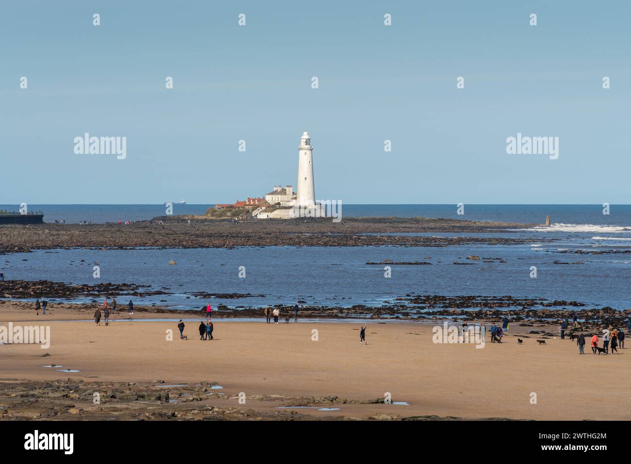 St Mary's Lighthouse, on a tidal island in the coastal town of Whitley ...
