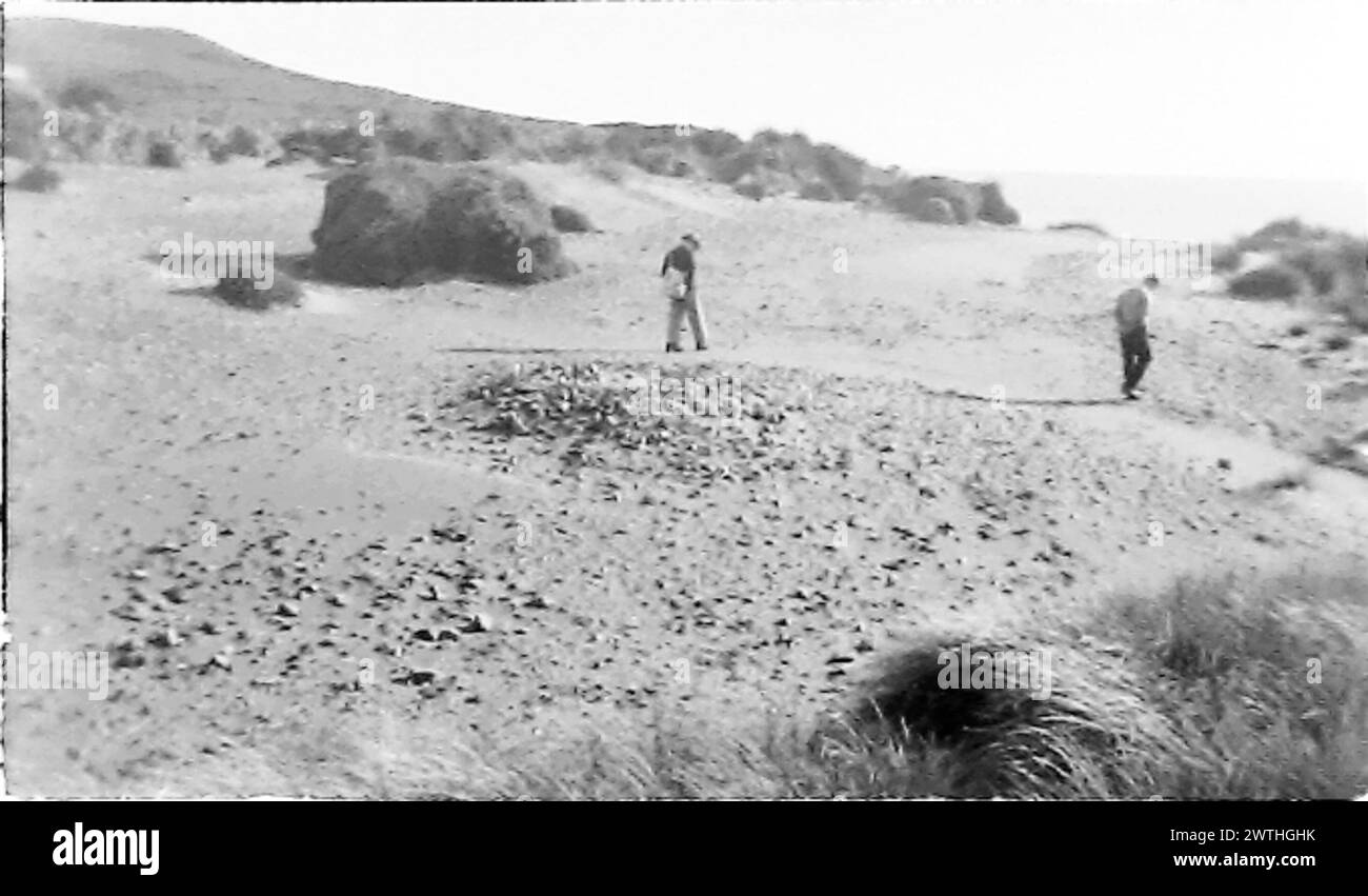 Old Maori sites at Titahi Bay and Porirua Station Nitrate negatives ...