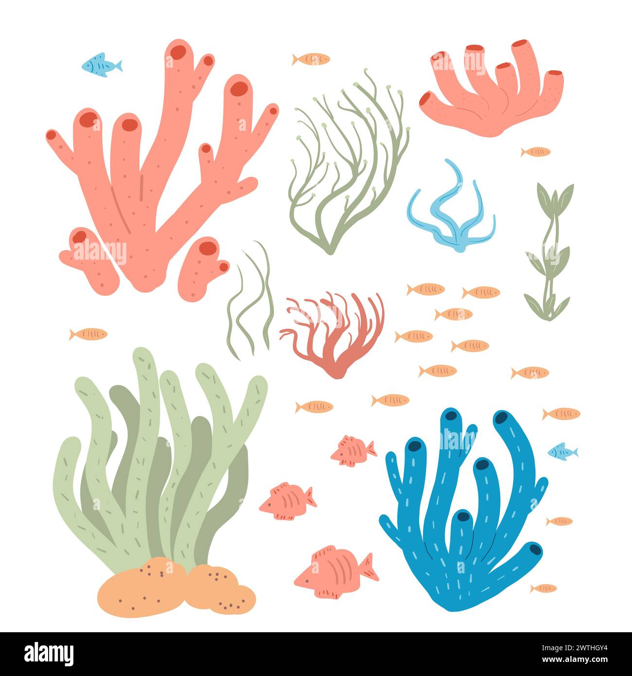 Coral reef with fishes and algae set isolated on white background. Sea ...