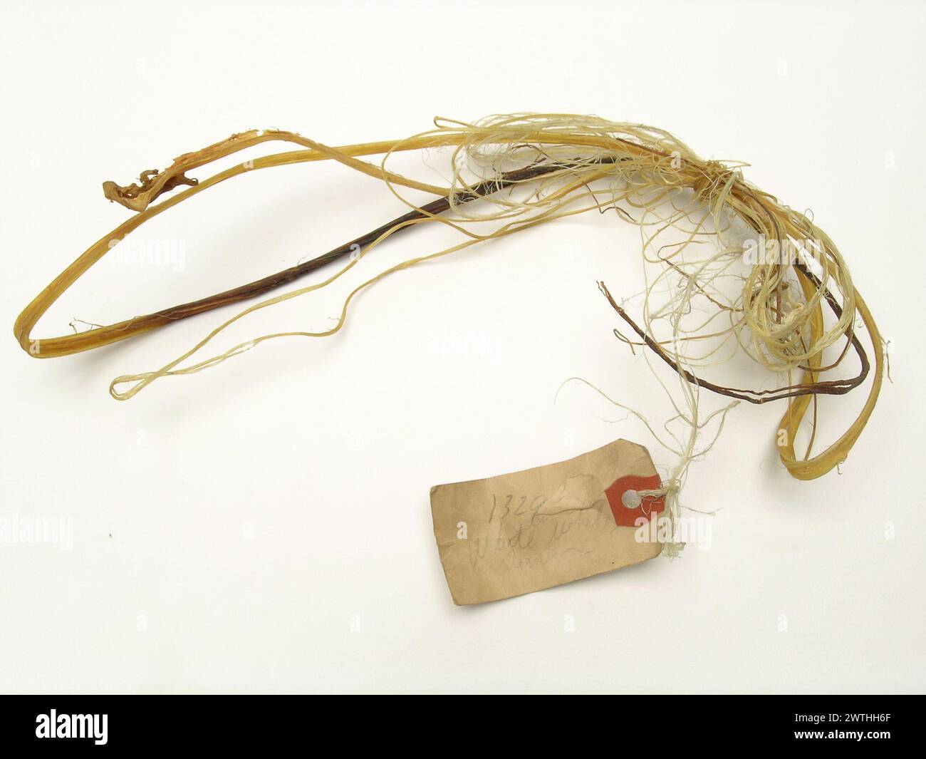 Material sample Stock Photo - Alamy