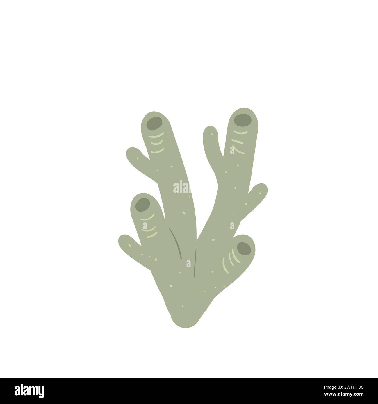 Coral reef isolated on white background. Sea underwater elements ...