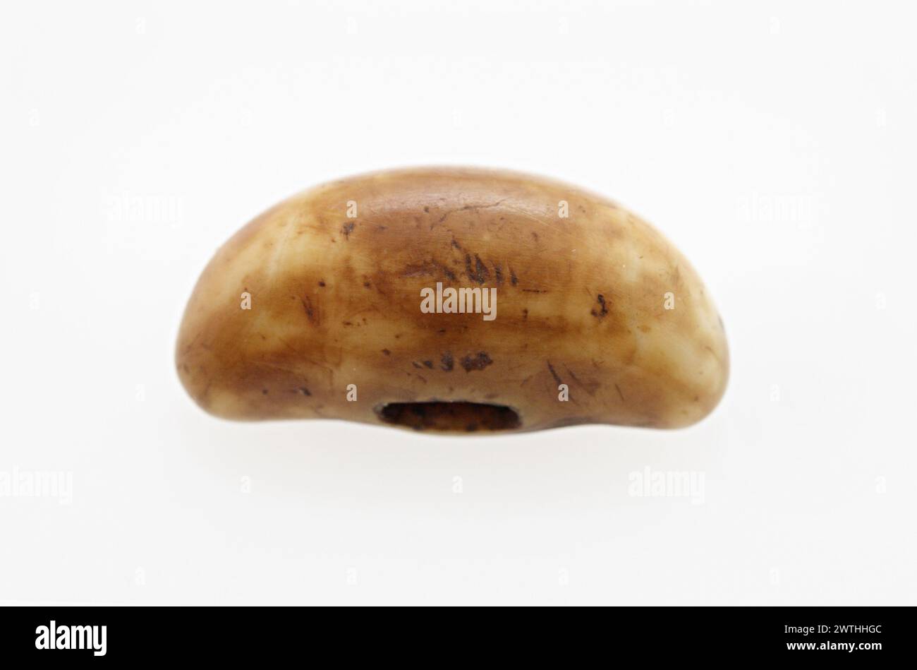 Clothing clasp hi-res stock photography and images - Alamy