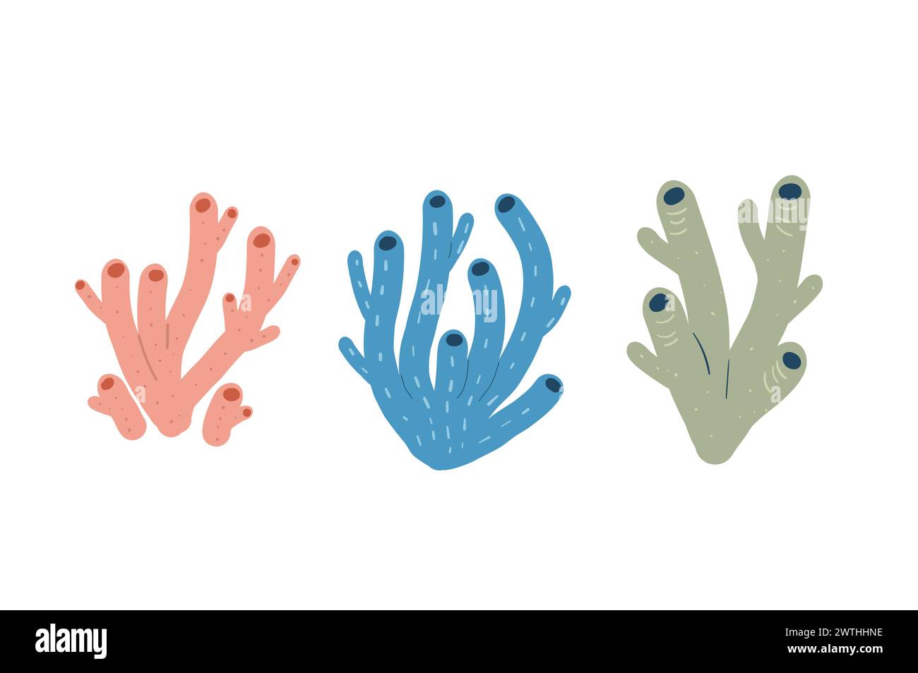 Coral reef set isolated on white background. Sea underwater elements ...